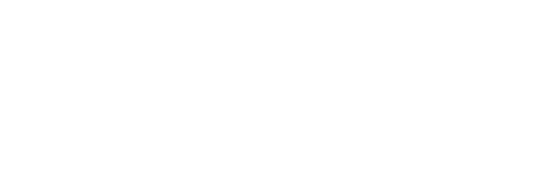 Alpha Cats 4kg – Ziad Pet Store